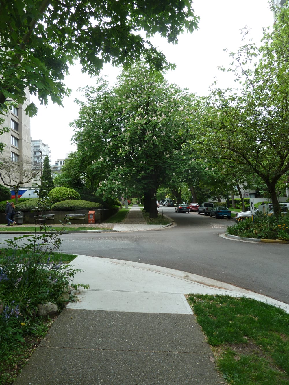 FOOTPATHS - Collie Town Planners PTY LTD, Melbourne Australia